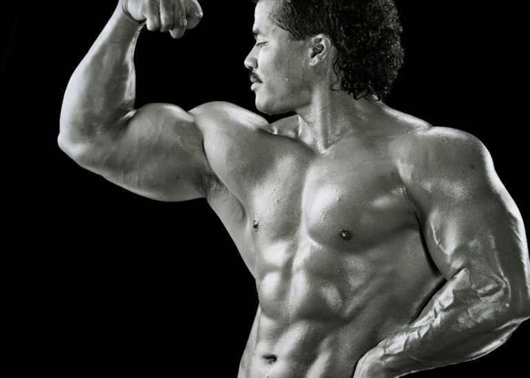 Loyal Army - Melphoto